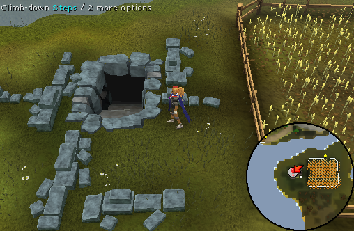 Taverley - RuneScape Guide - RuneHQ