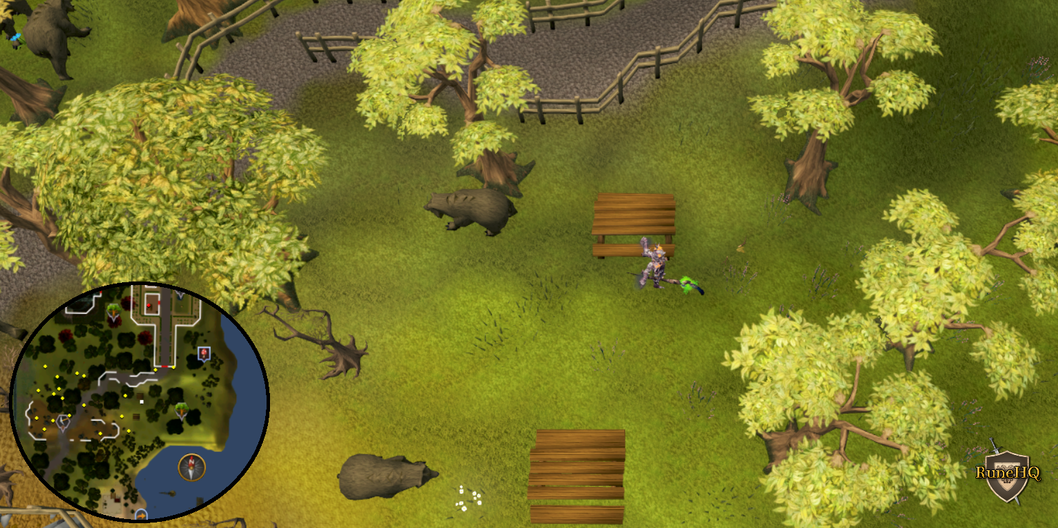 Treasure Trails - RuneScape Guide - RuneHQ